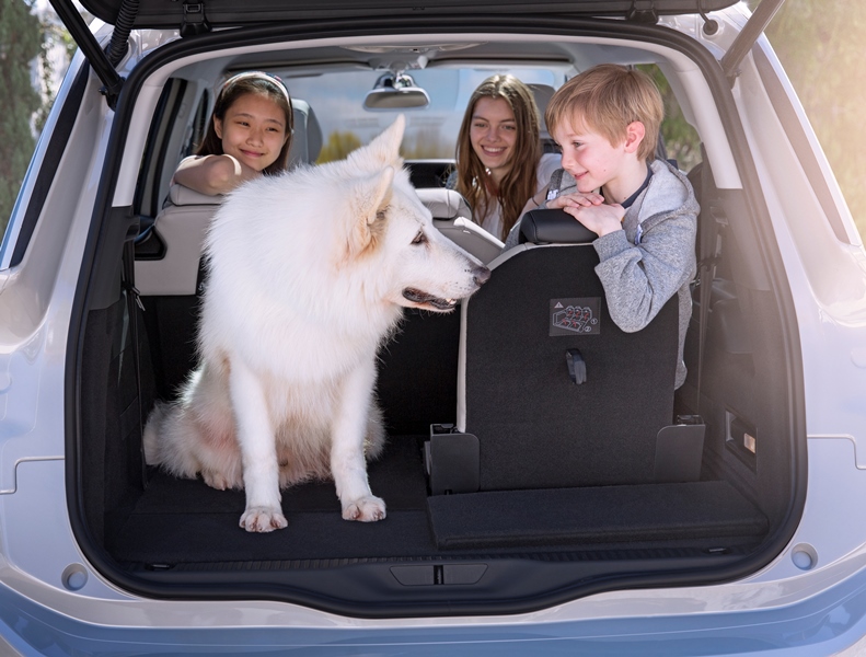 CITROËN PICASSO: 500.000 PRODANIH VOZILA - AC Radić